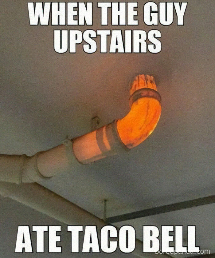 77 random memes that made scrolling way more enjoyable