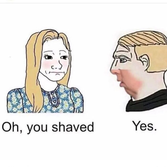 77 random memes that made scrolling way more enjoyable