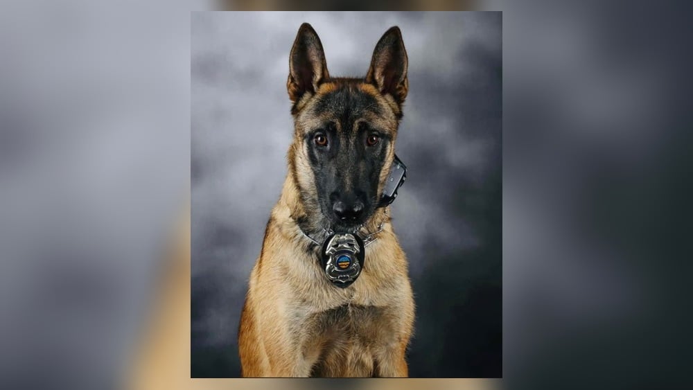 Area police department mourns loss of retired K-9
