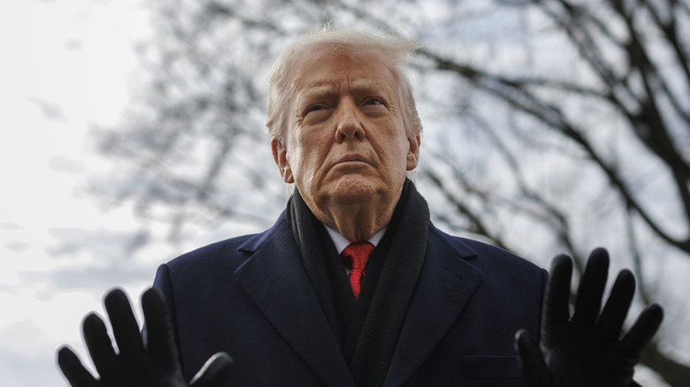 Donald Trump gives bizarre reason he feels he won't develop Alzheimer's ...