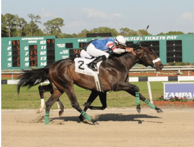 Kentucky Derby-placed Musket Man dies in Korea at age 20