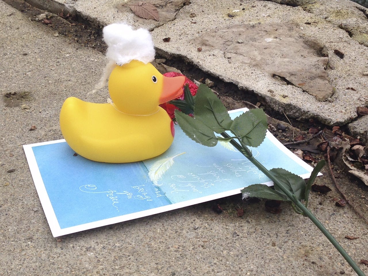 On this day in 2016, Ohio State students mourned the death of Afroduck