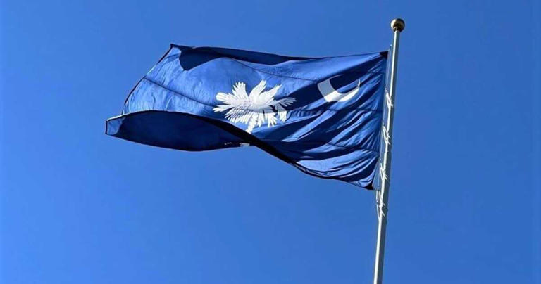 South Carolina high school sports governing body to consider transfer ...