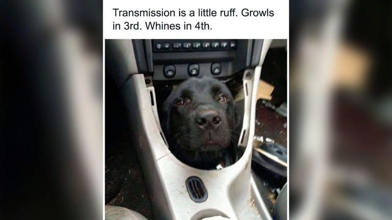77 random memes that made scrolling way more enjoyable