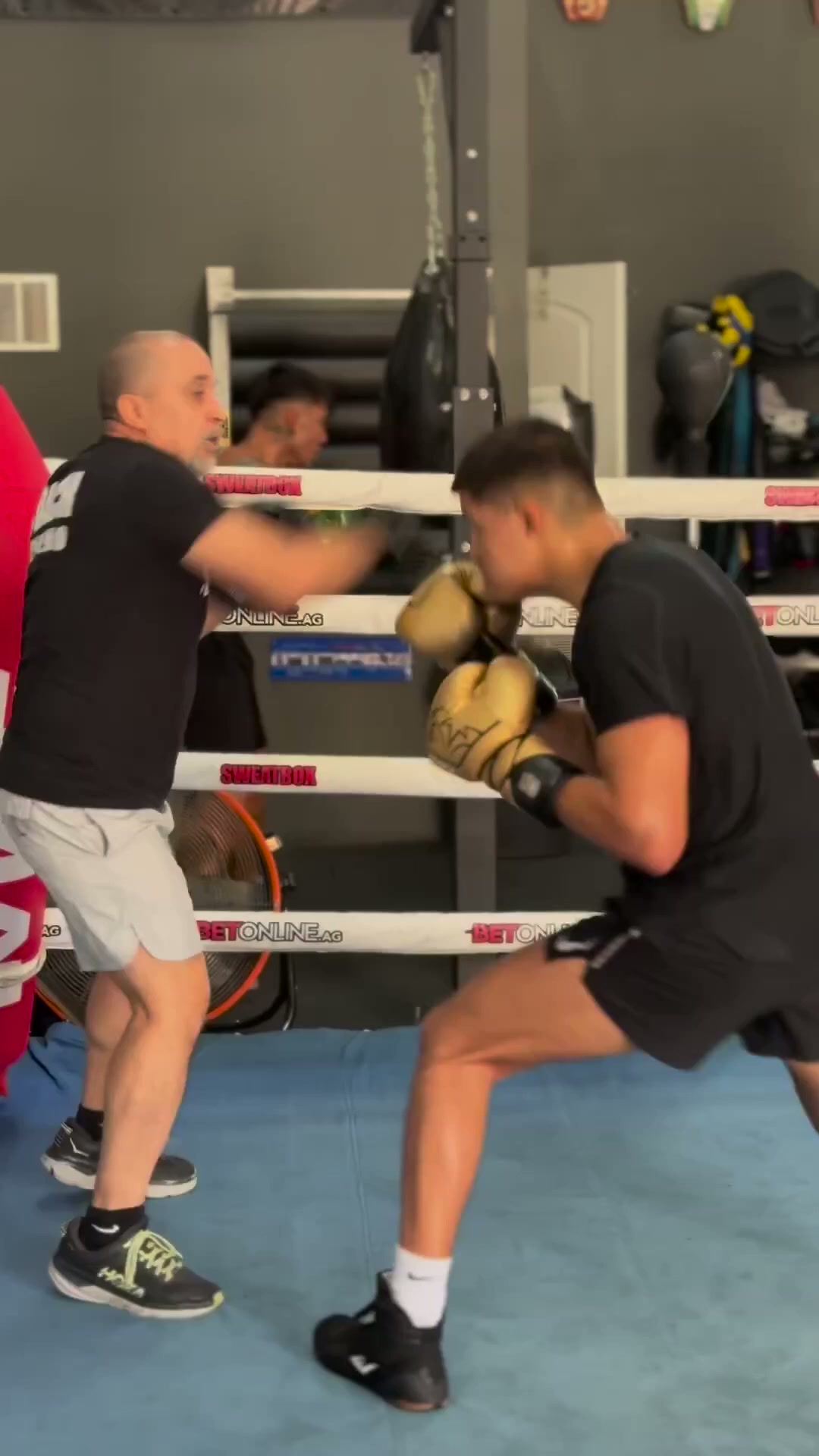 Xander Zayas Can He Be The Next Puerto Rican Champion