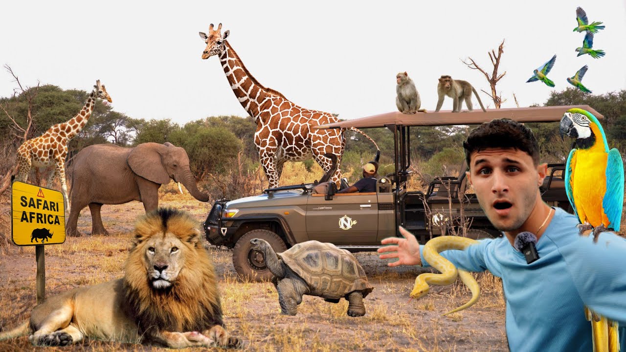 Drive through exotic animal safari!