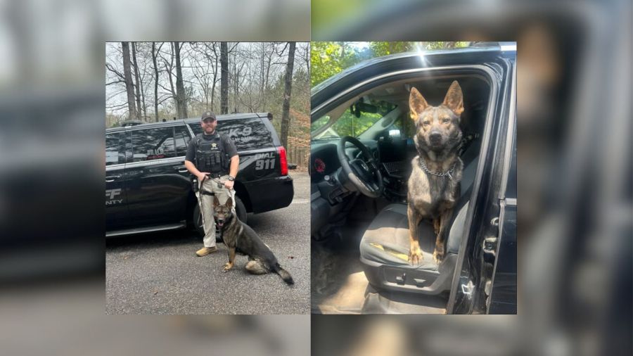 Harris Co. K9 dies after tragic incident, sheriff’s office announces