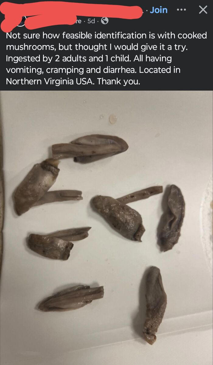 Oops that’s deadly: 46 clueless people who have everyone wondering how ...