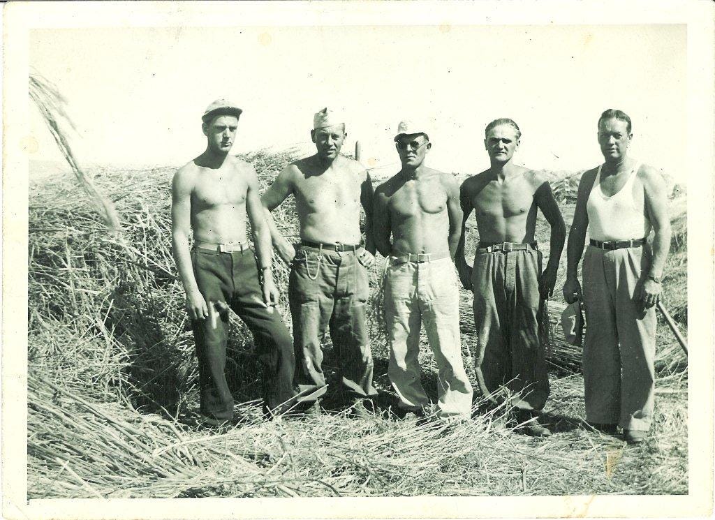 How Iowa farmers fed German prisoners and found common ground in WWII