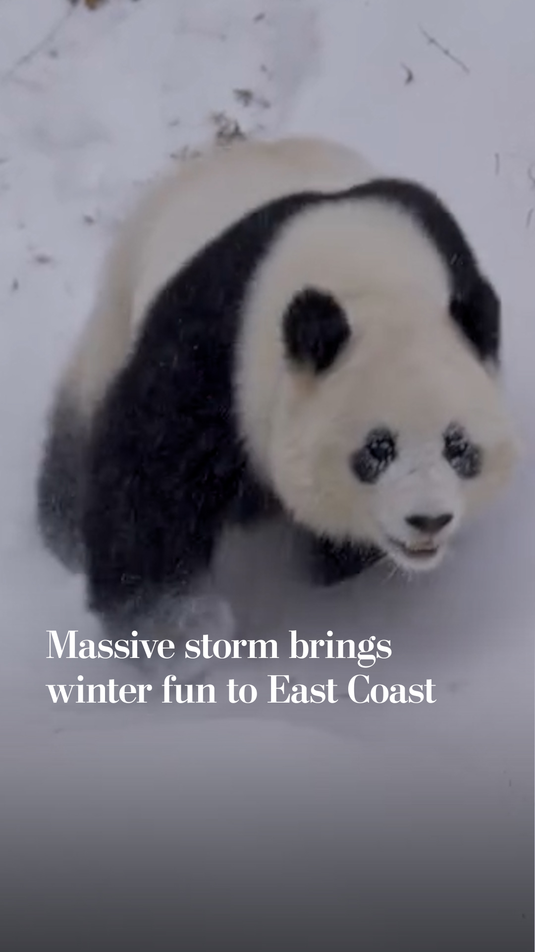 Massive storm brings winter fun to East Coast