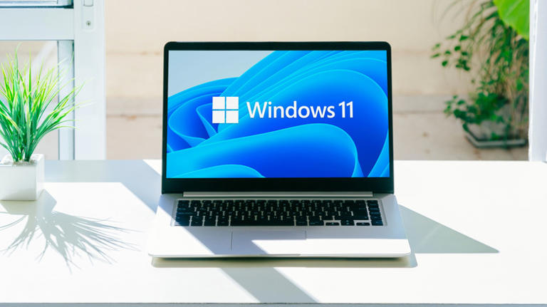 Microsoft doesn't recommend you do this with Windows 11