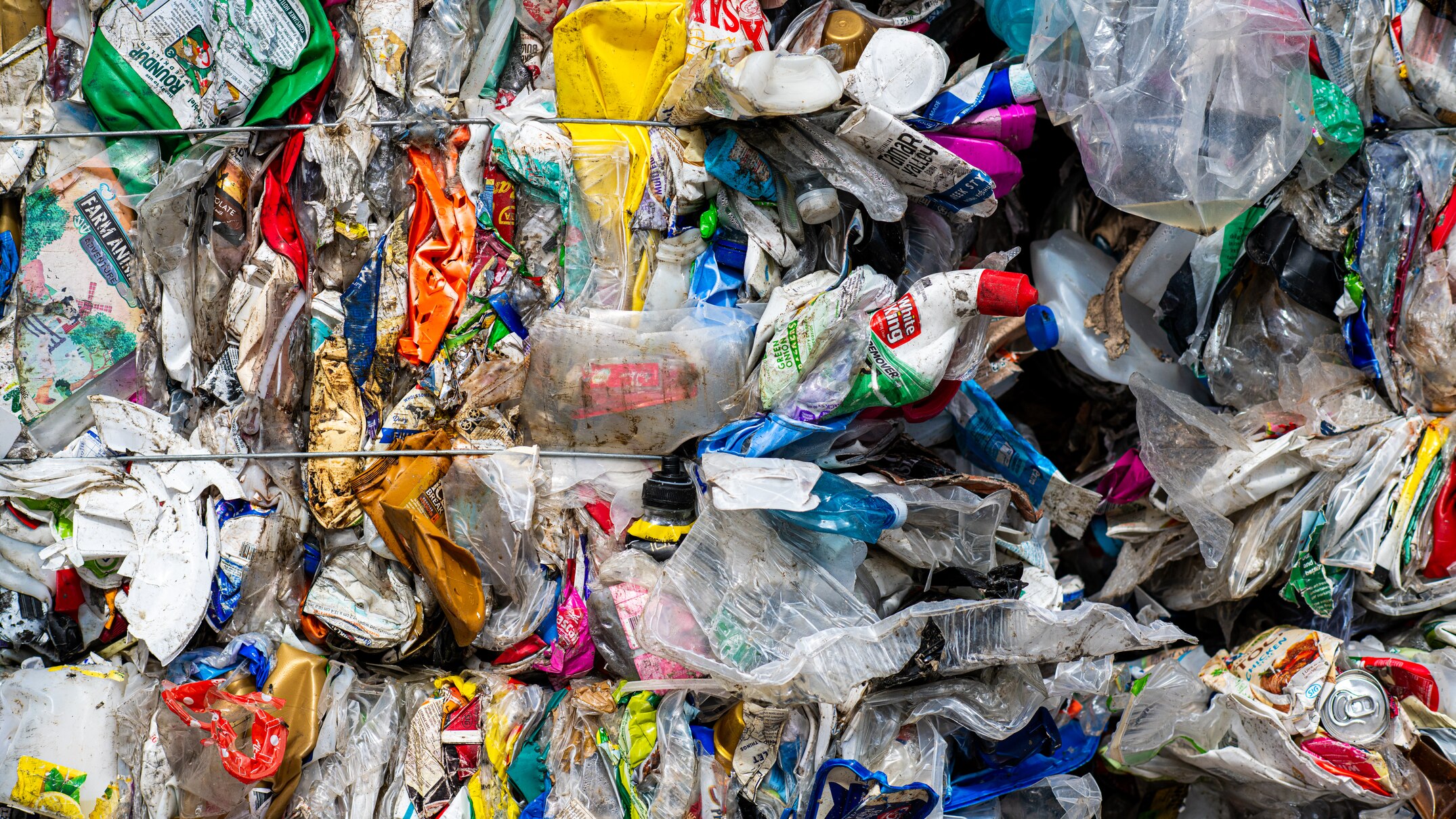 Scientists warn microplastics testing could be overestimating extent in ...