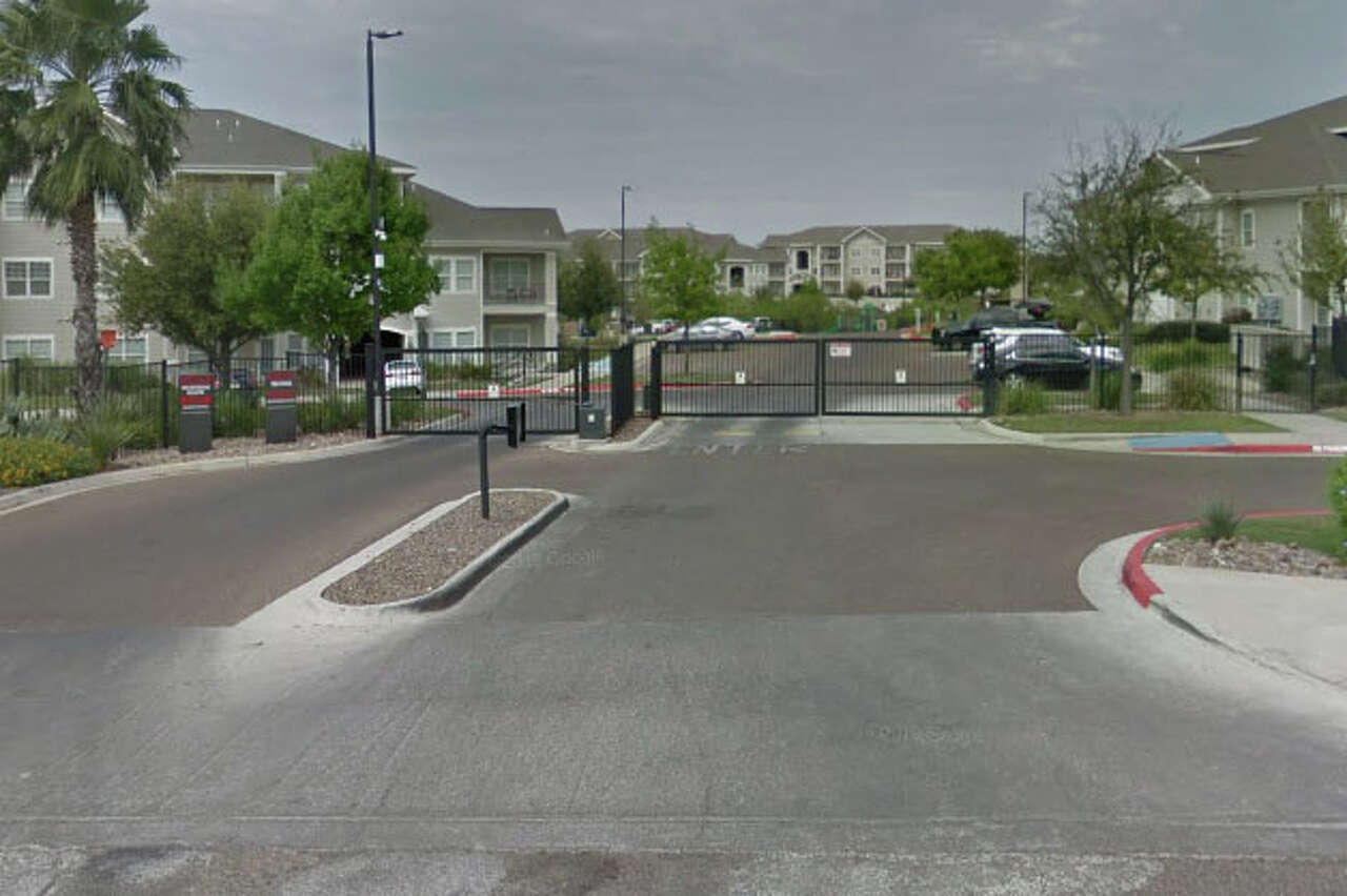 LPD: Dead dog, neglected cat in apartment lead to arrest after foul ...