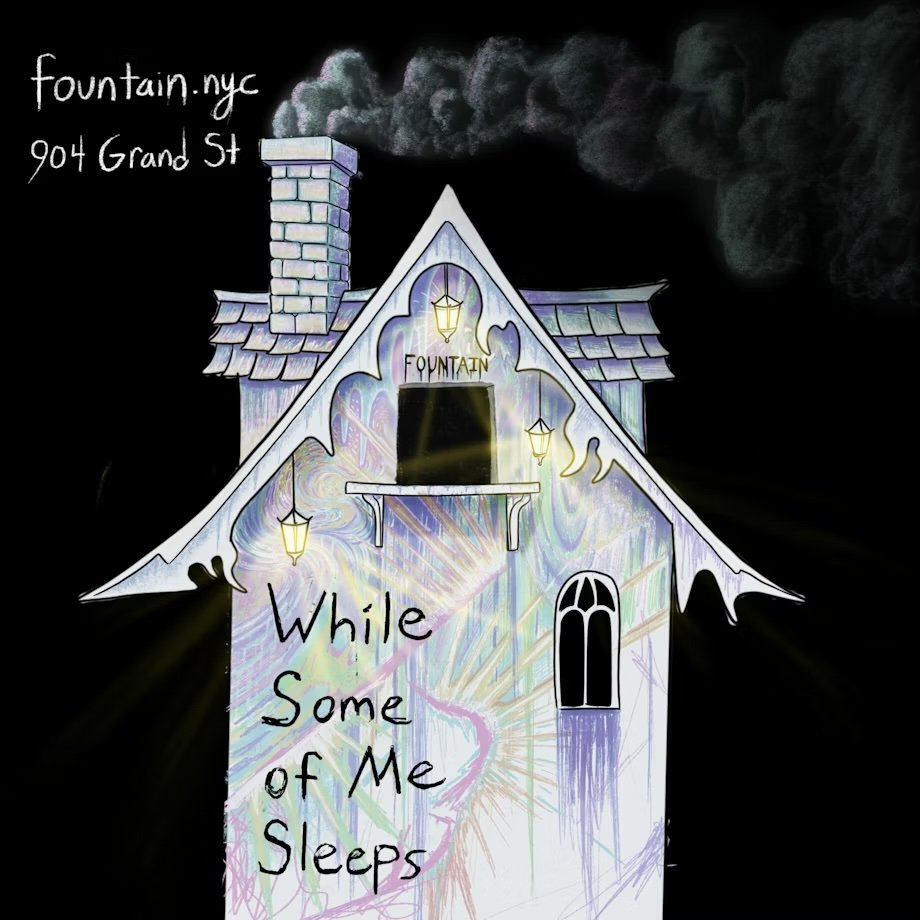 'While Some of Me Sleeps' book launch, NYC