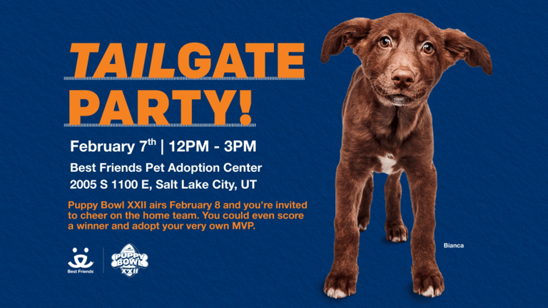 Huddle up for fumbling fluff as Best Friends Animal Society ...