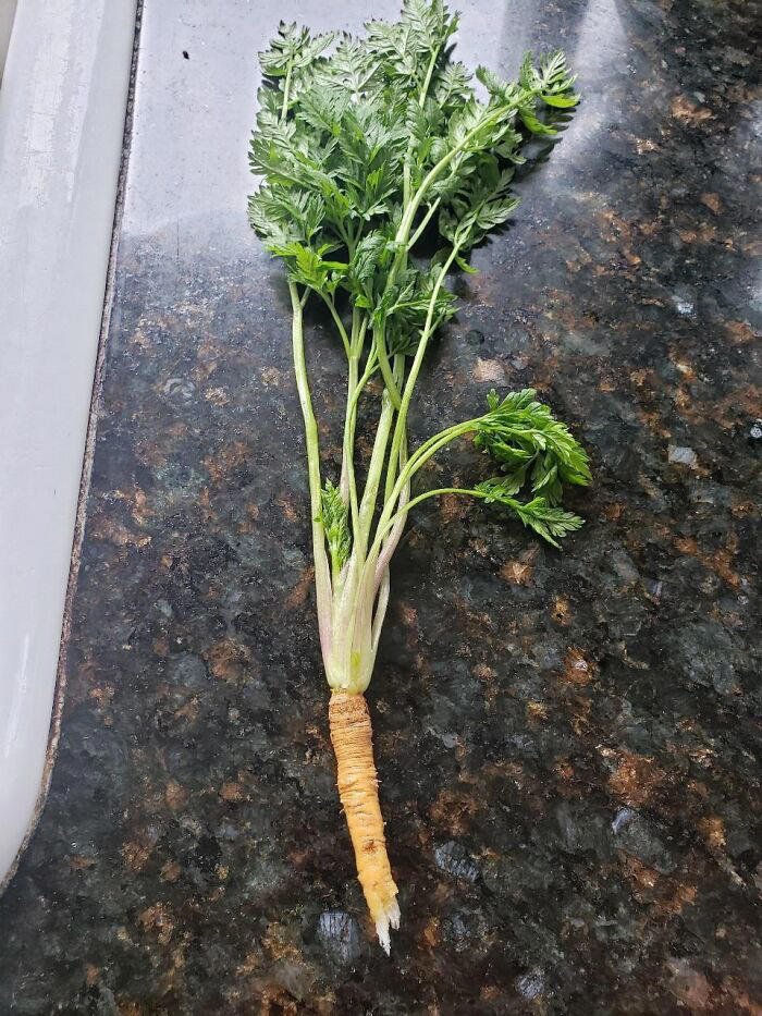 Oops that’s deadly: 46 clueless people who have everyone wondering how ...