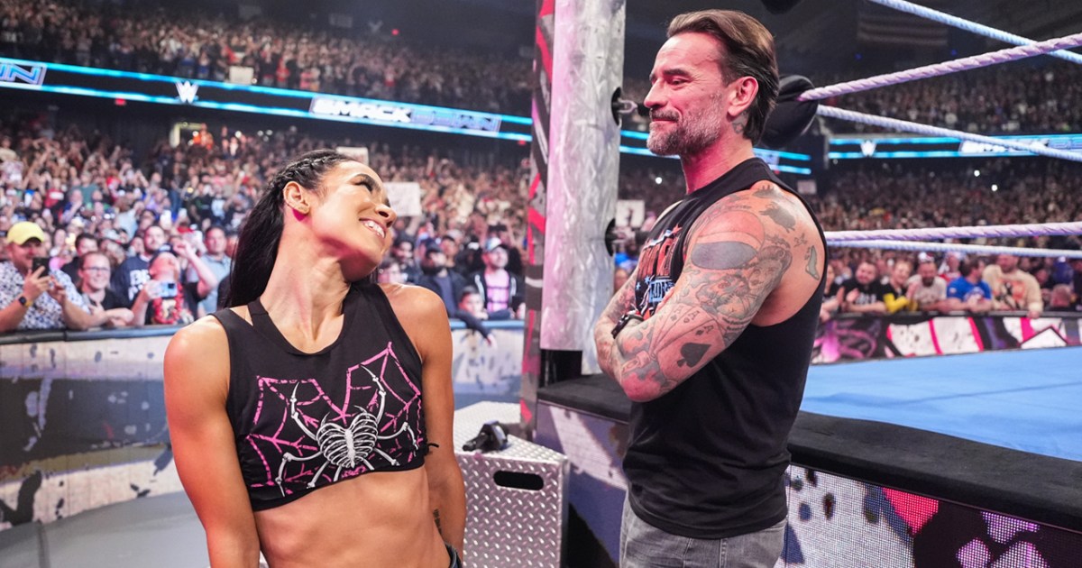 WWE's CM Punk does the most romantic thing ever for AJ Lee