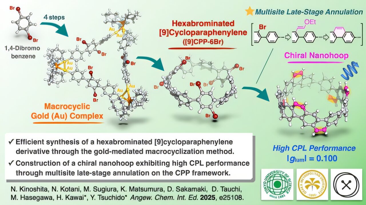 A new route to synthesize multiple functionalized carbon nanohoops
