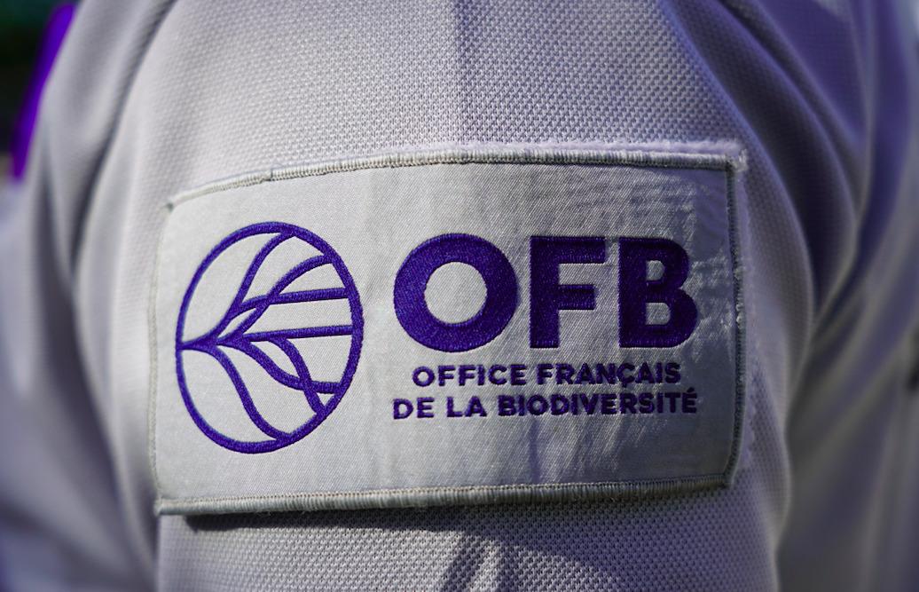 Office français de la biodiversité : la nomination d’une ancienne cadre ...