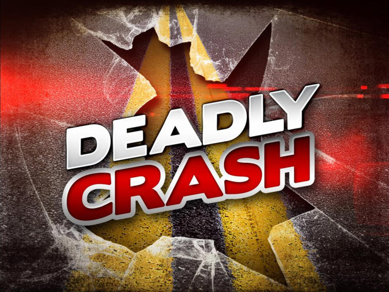 ATV driver dies in Dillon County crash