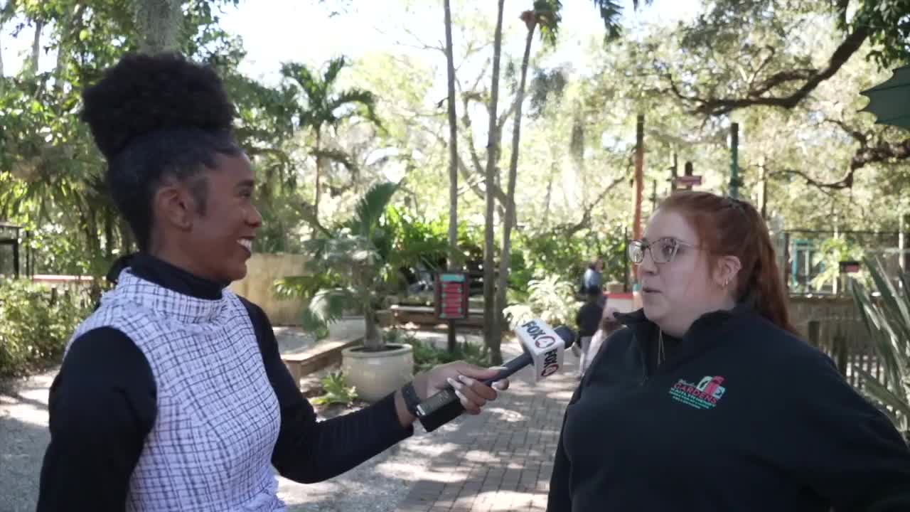 Wonder Gardens adjusts to cold snap with indoor animal relocations