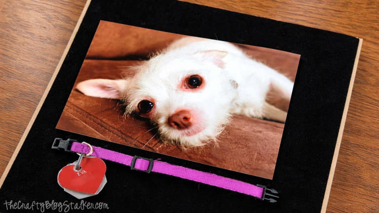 How to make a pet memorial shadow box