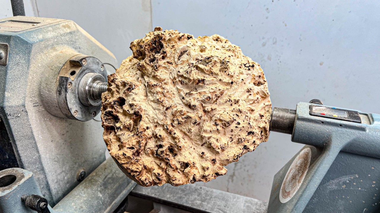 I turned rare oak burl into stunning art!