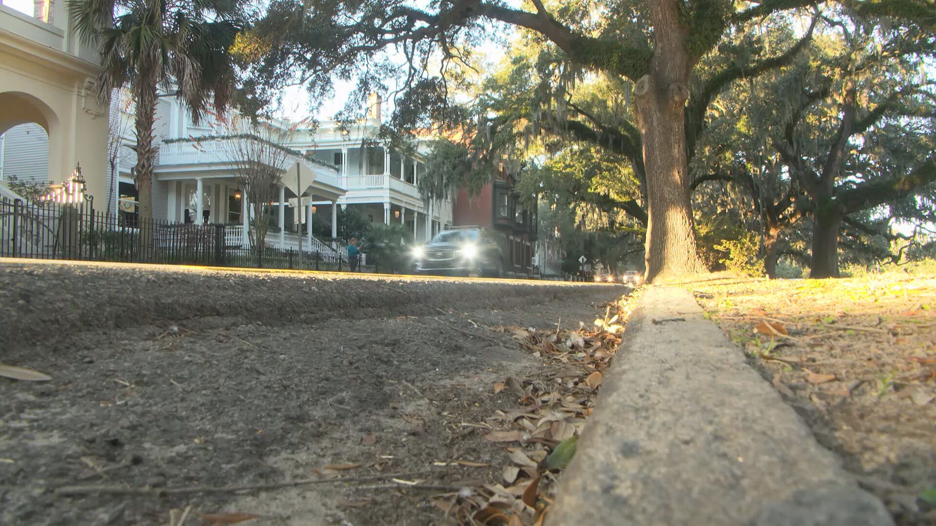 SCAD invests over $200,000 for 'state-of-the-art' cameras in Forsyth Park