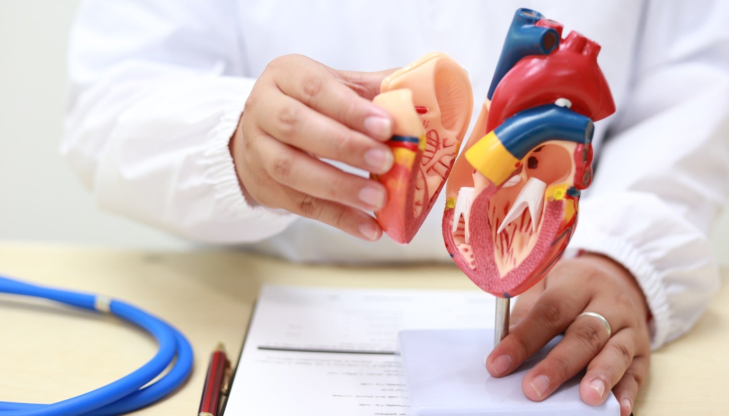 HighLife TMVR system secures CE mark approval for MR treatment