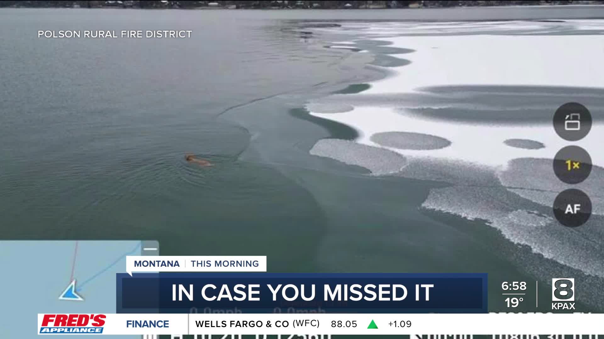 Polson Rural Fire works to rescue dogs from Flathead Lake