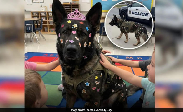 Cute photo of police dog with 'star' stickers wins hearts. Know the ...