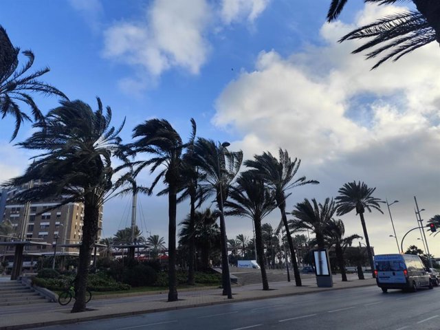 Temporal.- Activado el plan municipal de emergencias ante vientos ...