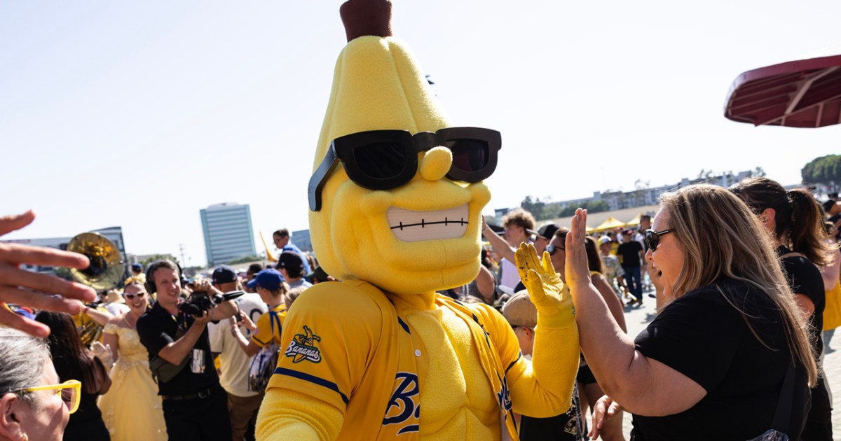 Savannah Bananas star to compete for Major League Wrestling