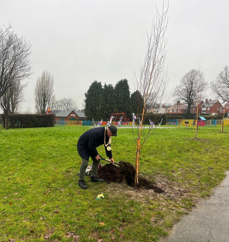 Holocaust Memorial Avenue extended with new tree planting at Alfreton Park