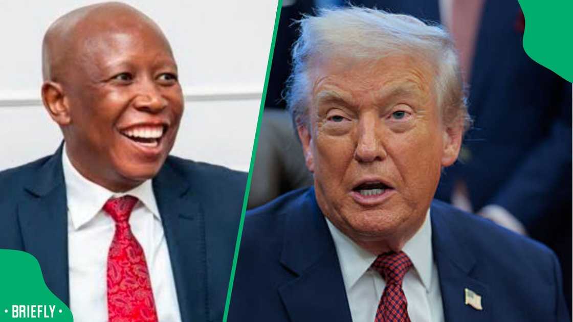 Malema's blistering attack: Trump accused of spreading lies and ...