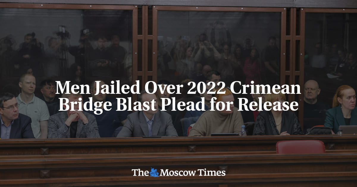 Men jailed over 2022 Crimean Bridge blast plead for release