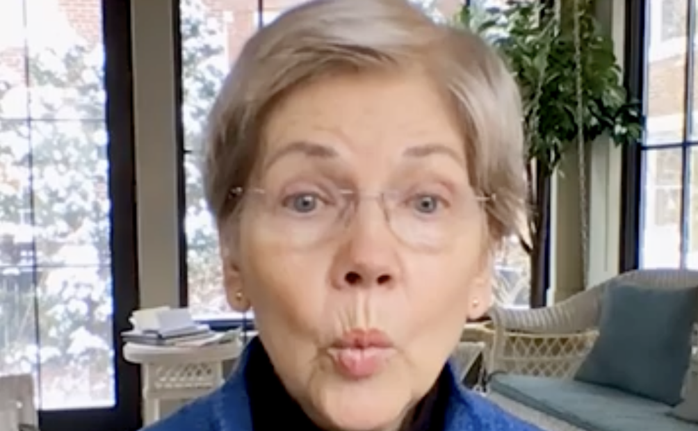 We have the power to stop ICE': Elizabeth Warren puts her foot down ...