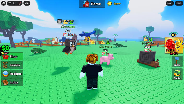Catch and tame codes (May 2026)
