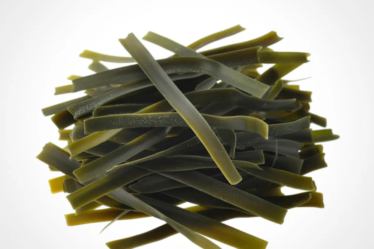 10 ocean-grown plant foods more people are adding to their diets
