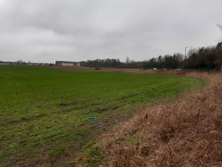 New pictures show how new Sunderland M&S Foodhall, Aldi and Starbucks ...