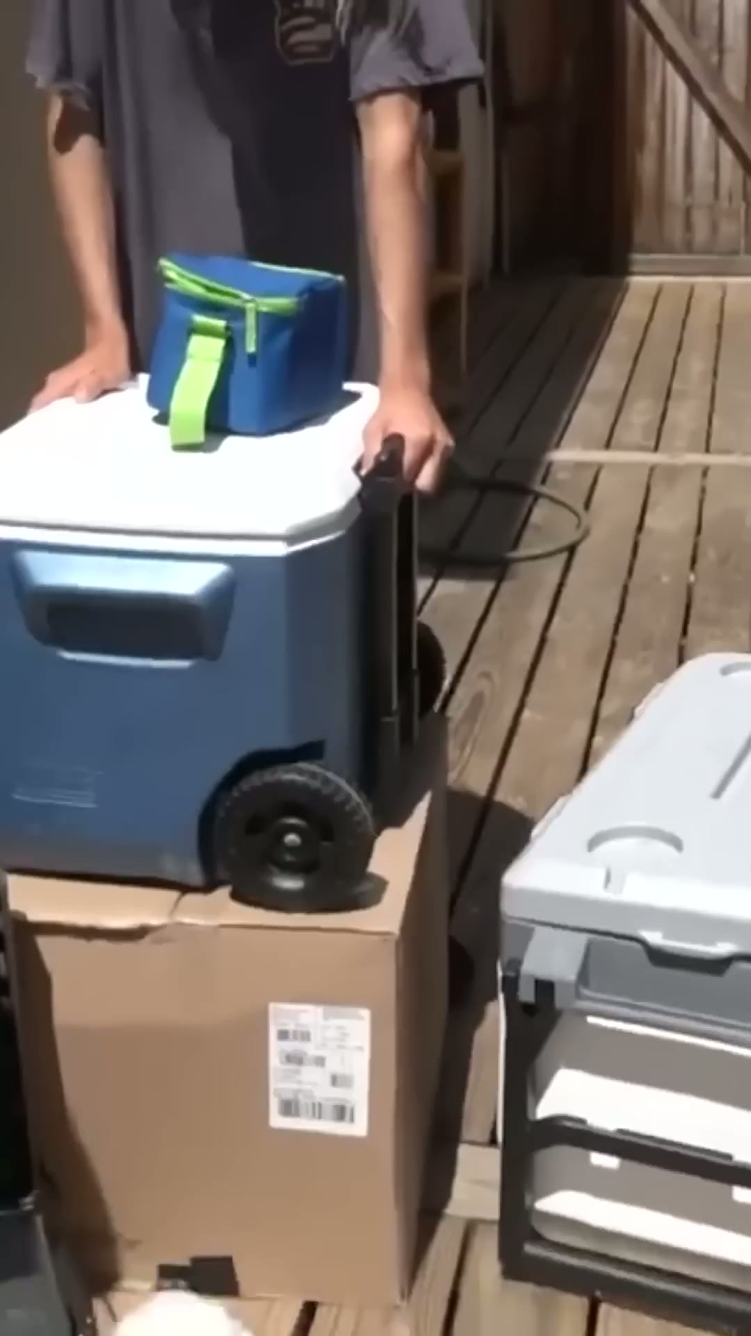 Where should I stick my head? #shorts