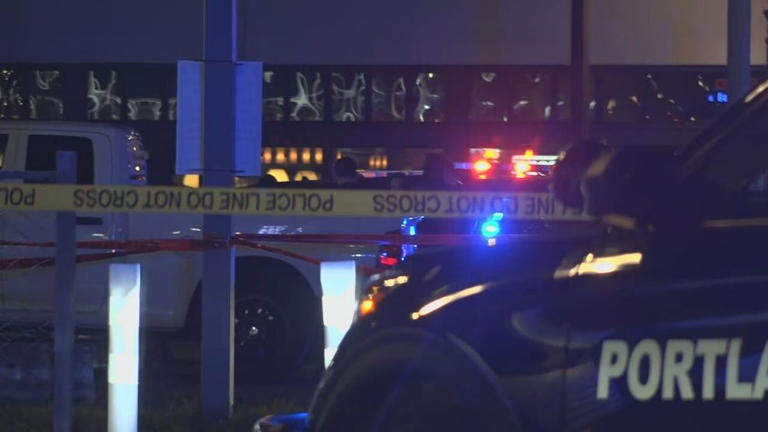 Court documents reveal moments before Portland police officers were shot