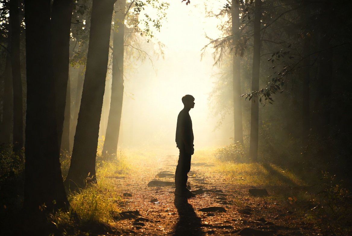 What happens when we reconnect with nature