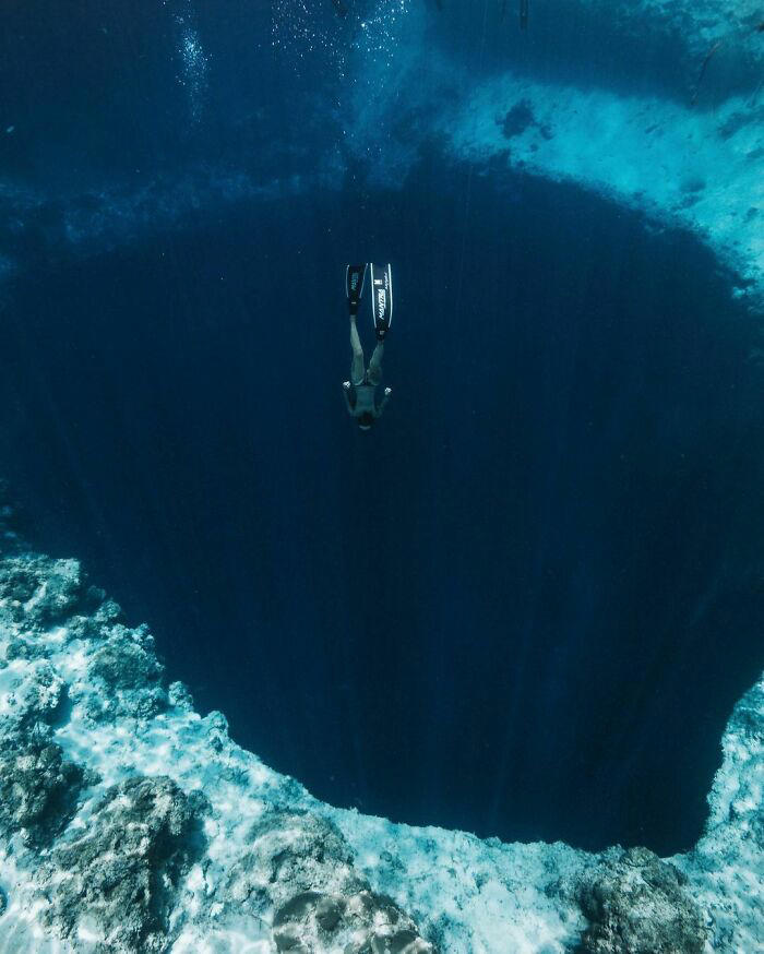 Sudden shiver down my spine: 49 pics to show why the fear of deep water ...