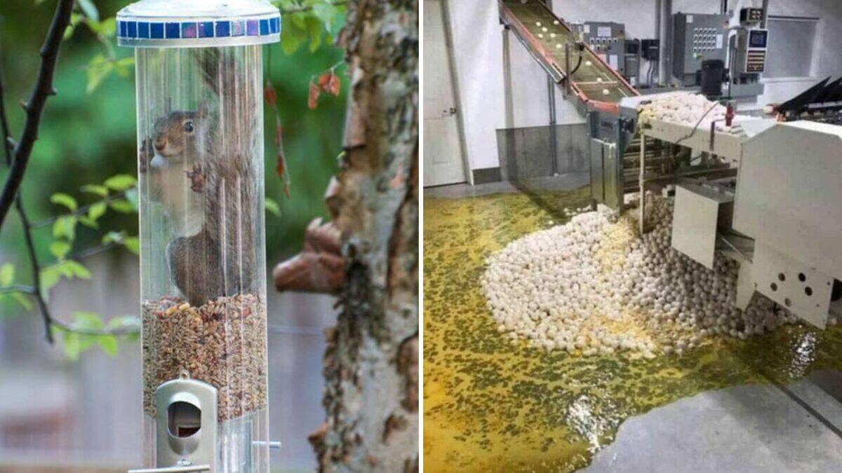 28 people whose mistakes are past the point of no return