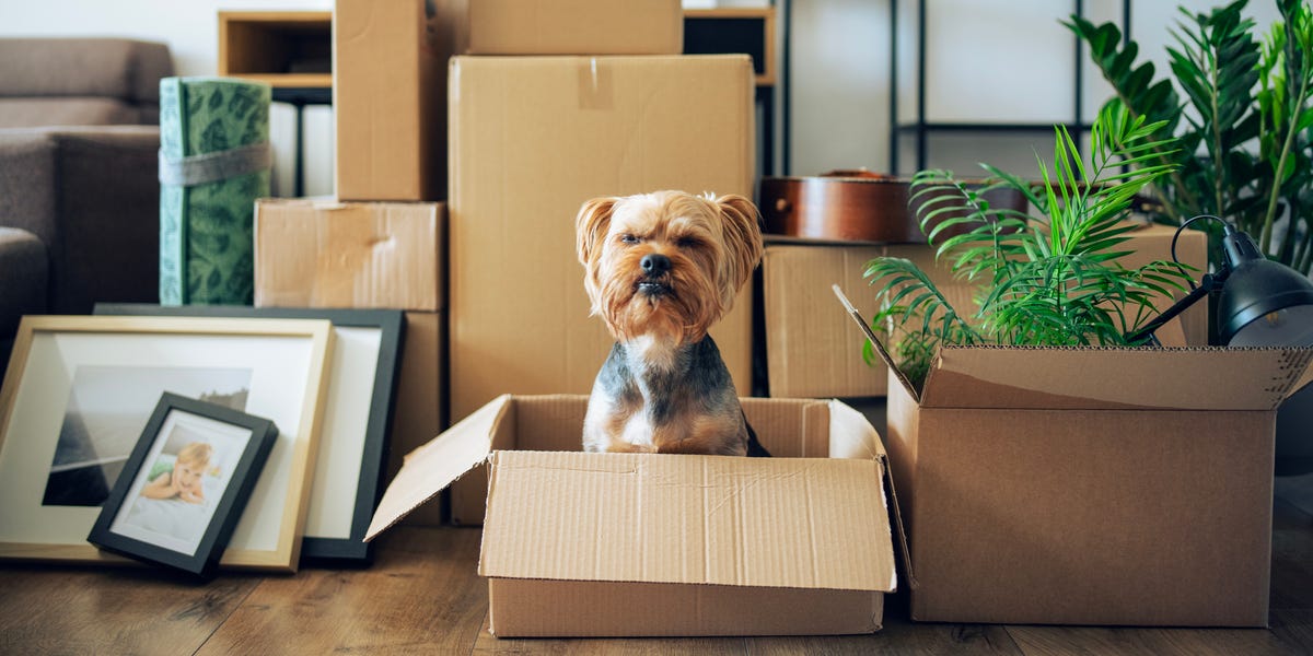 Experts say this is the best time to move if you want to save money in 2026