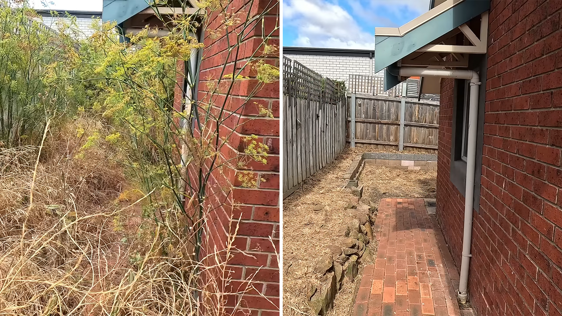 Restoring a garden catastrophe