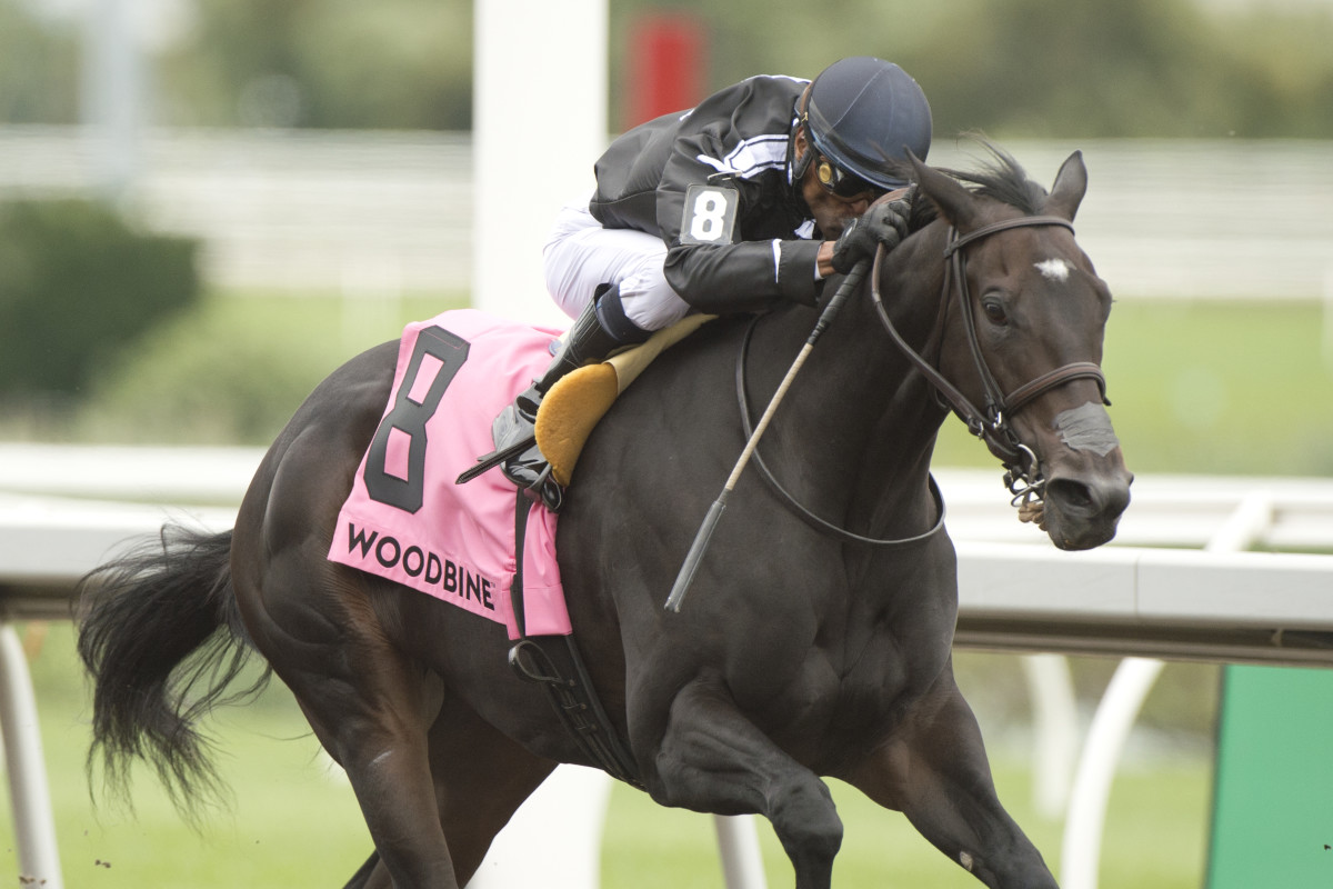 Graded stakes winner Stormcast leads latest supplements to Fasig-Tipton ...