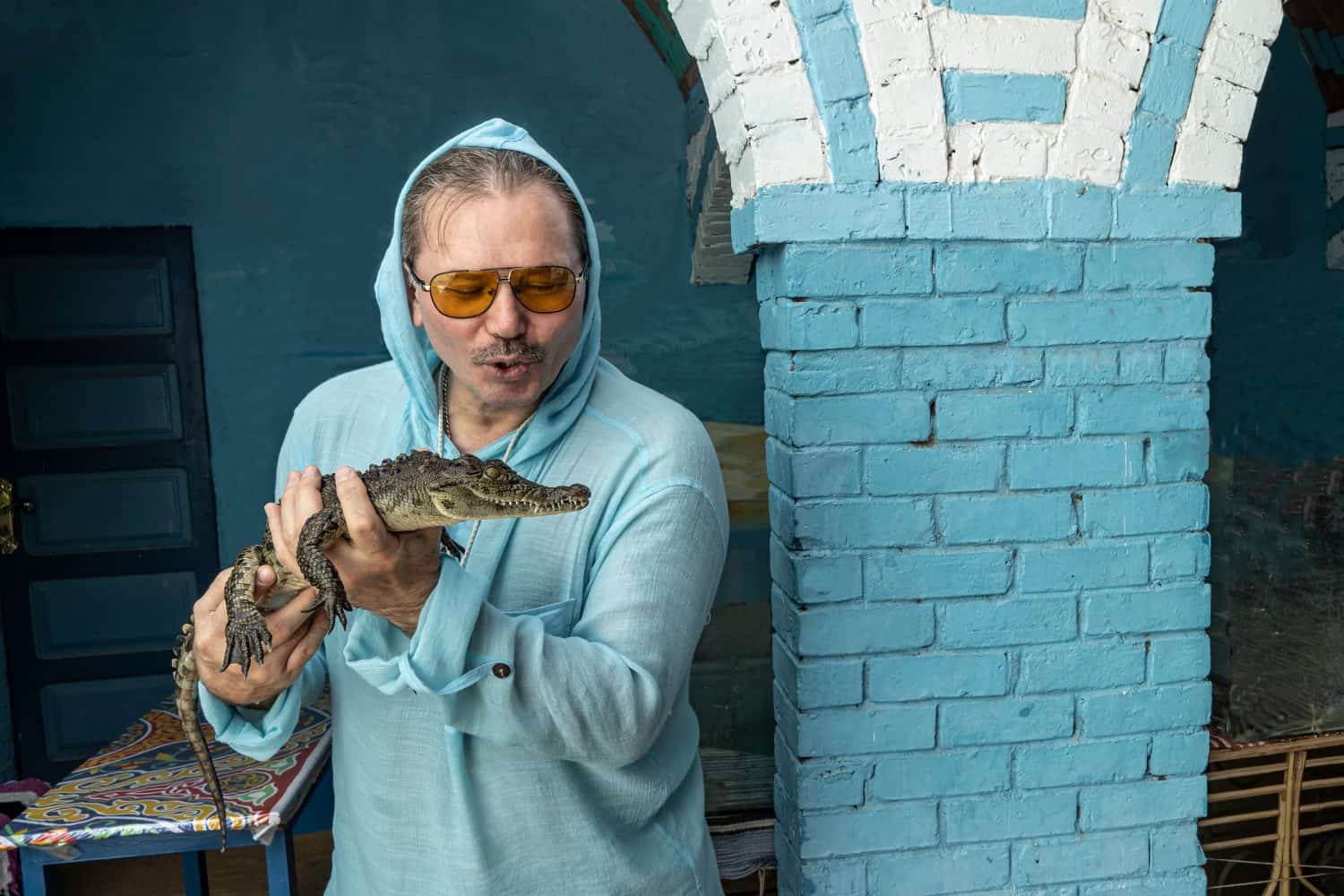 Legal or illegal? A breakdown of exotic animals you can own in North ...