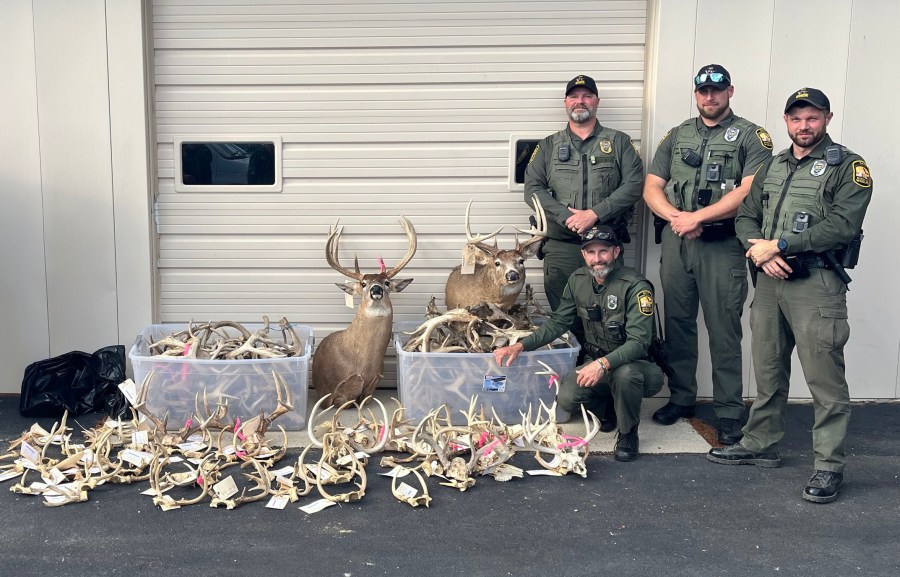 200+ antlers forfeited in yearslong Ohio investigation: Ohio Division ...